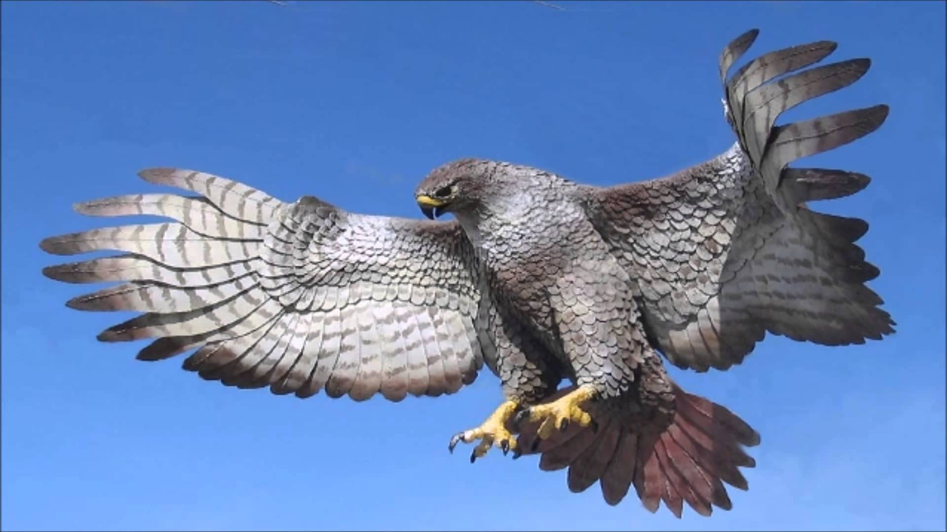 How this Theory of Your Preferred Animals can Examine Identity ...